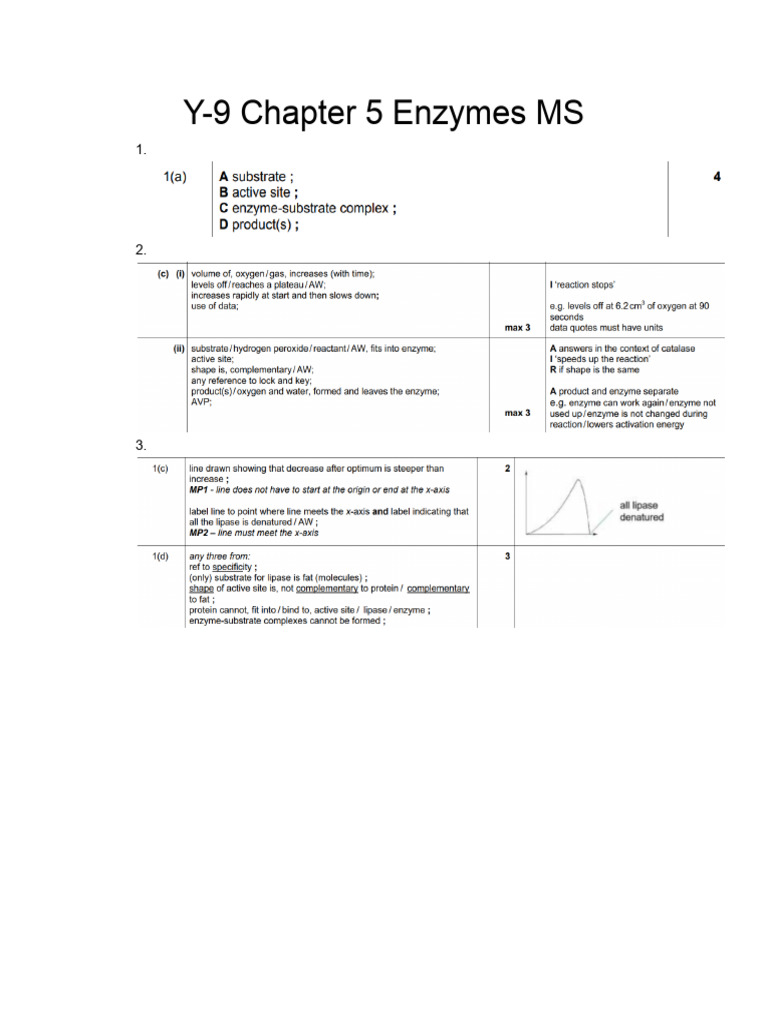 Y-9 Chapter 5 Enzymes MS | PDF