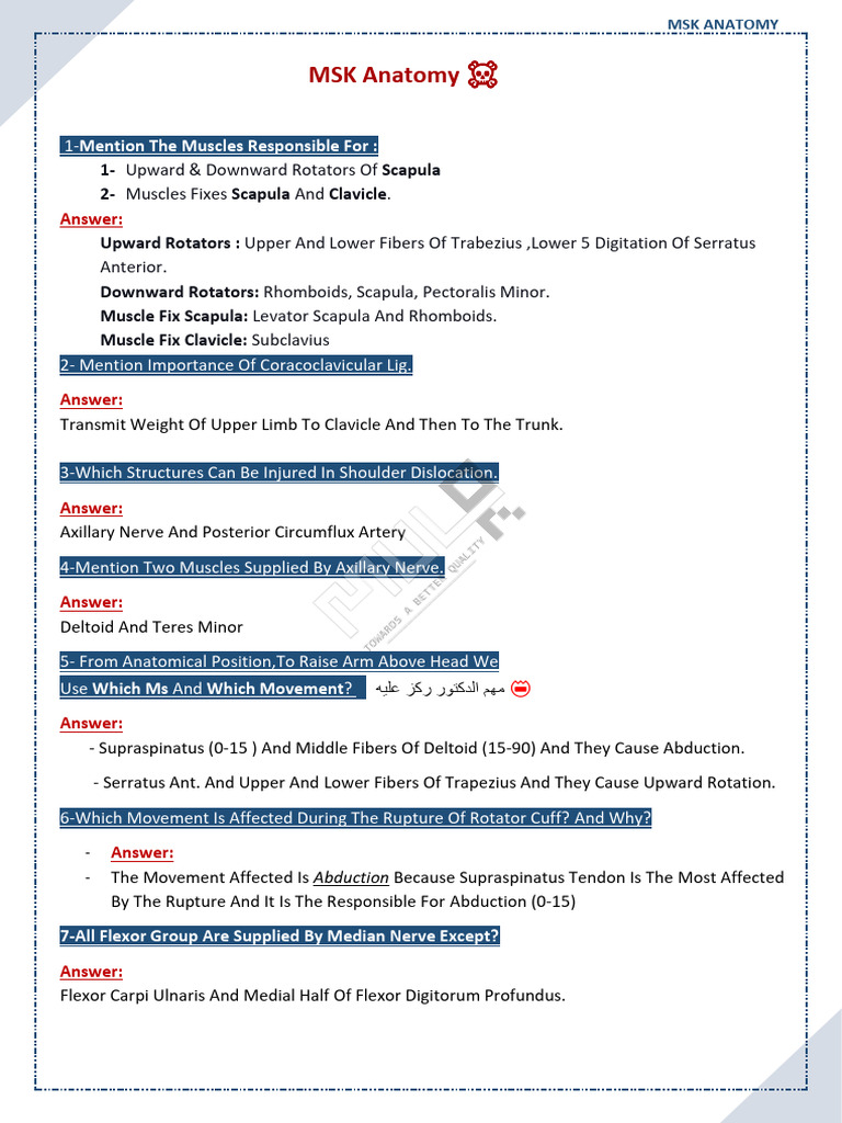 Anatomy Written MSK Answerd MULR_250525_164507 | PDF | Knee | Foot