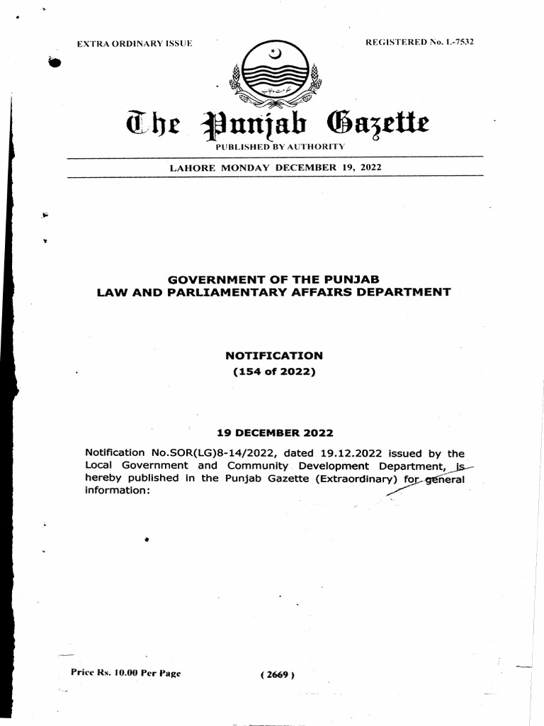 PLG Election Rules Final | PDF