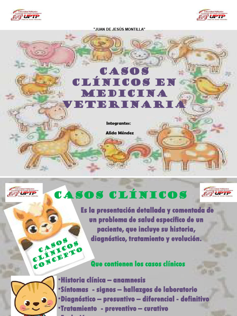 Casos Clinicos | PDF | Diagnostico medico | Clínica
