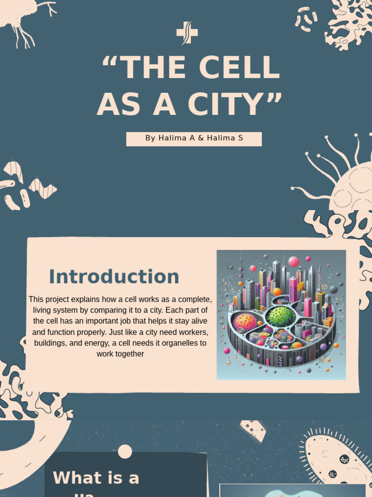 Cell Function Explained as a City | PDF | Cell (Biology) | Endoplasmic ...