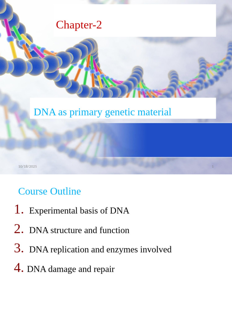 DNA: Structure, Function, and Replication | PDF | Dna Replication | Dna