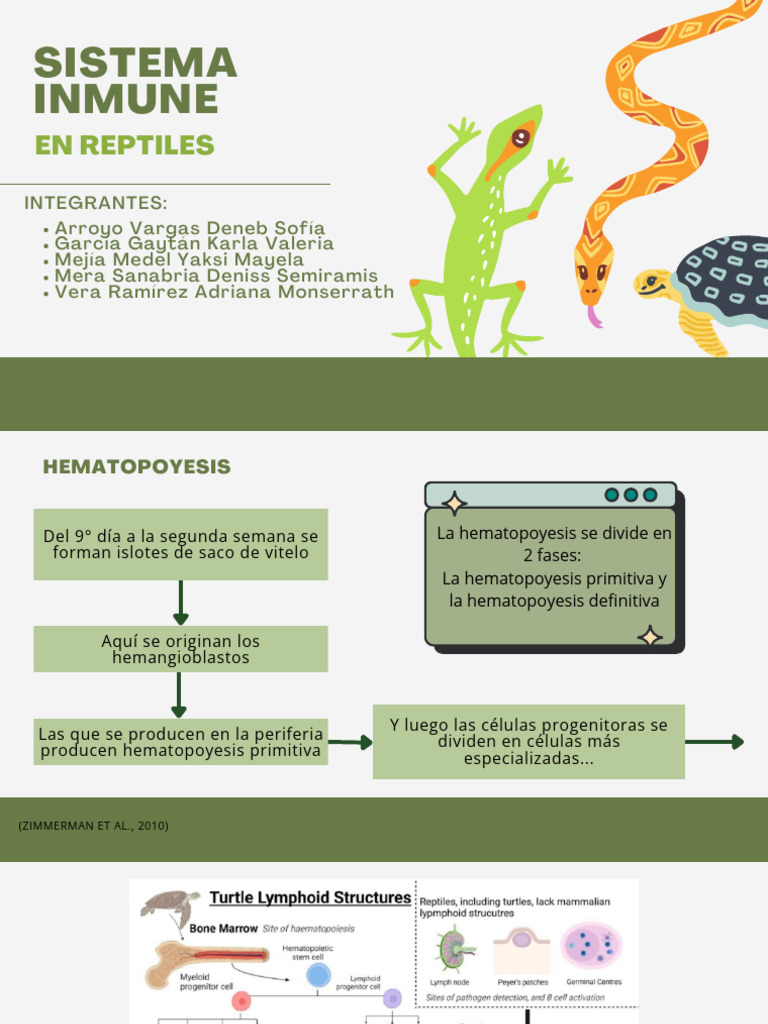 Sistema Inmunológico en Reptiles | PDF | Hematopoyesis | Sistema inmune