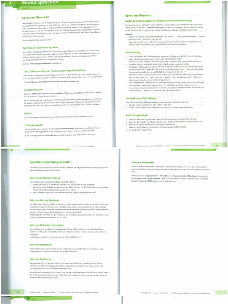 Modul Sprechen - B2 - Übung | PDF