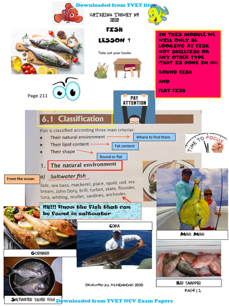 Catering Theory N4 Module6 Lesson9 | PDF | Fish | Foods
