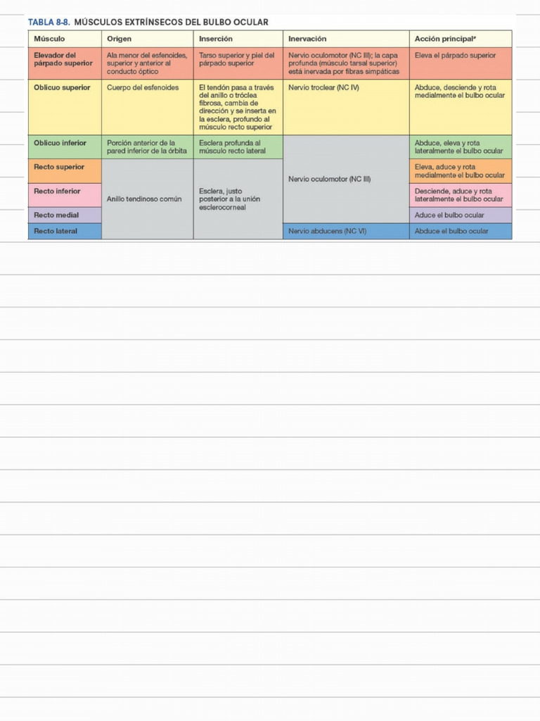 Ojo anato | PDF