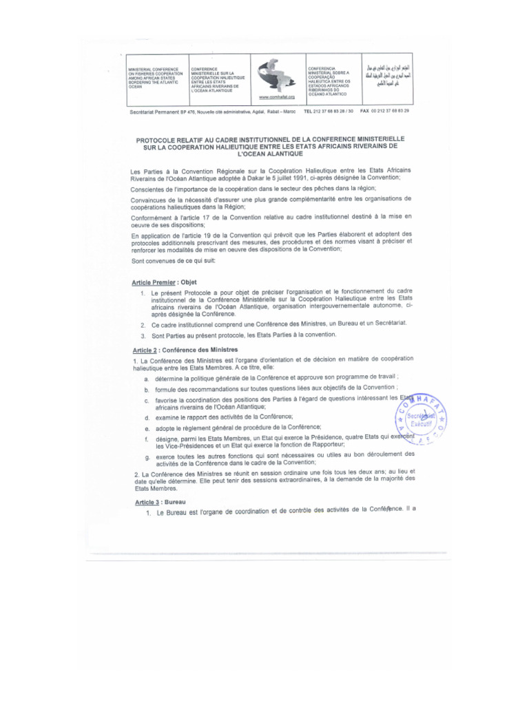 Protocol e | PDF