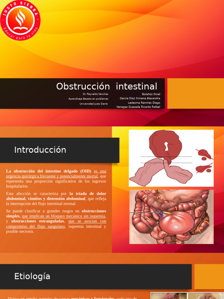 Obstrucción Intestinal | PDF | Isquemia | Enfermedades y trastornos