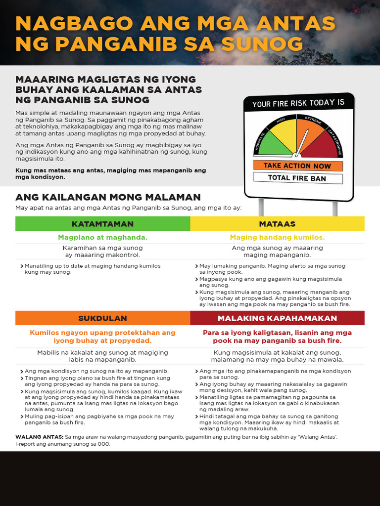 Filipino Factsheet A5 AFDRS-1 | PDF