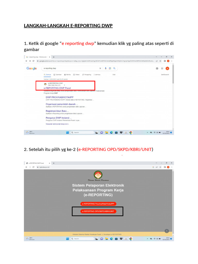 Panduan E-Reporting DWP Langkah Demi Langkah | PDF