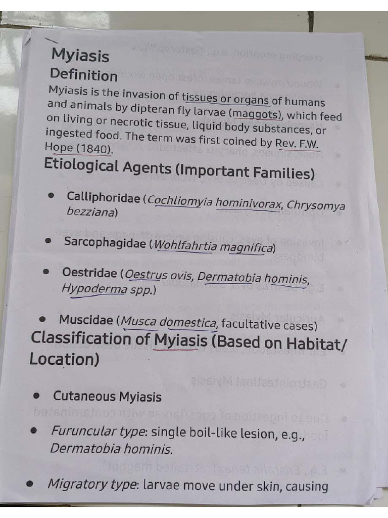 MYIASIS | PDF