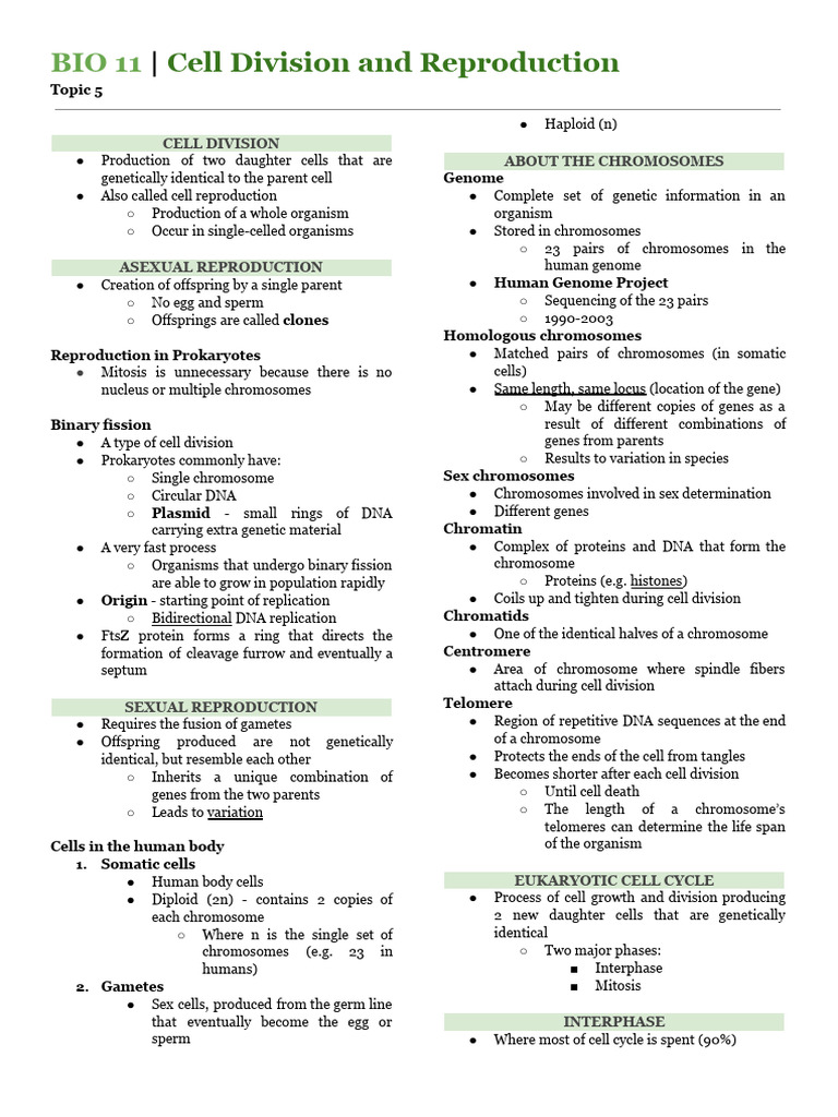 Bio 11 - Cell Division and Reproduction Notes | PDF | Mitosis | Chromosome