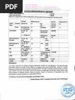 Normal Pediatric Echocardiogram Report | PDF