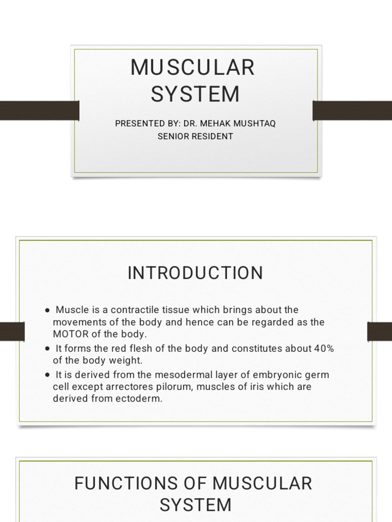Skeletal Muscle DR Mehak | PDF | Skeletal Muscle | Muscle Contraction