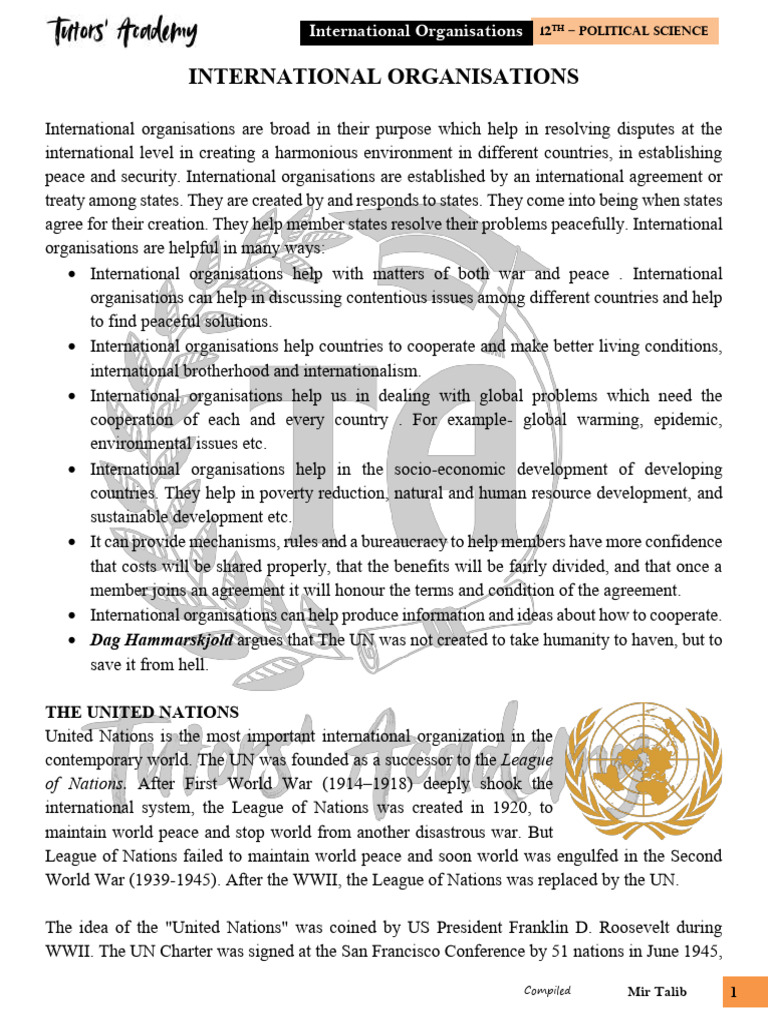 Understanding International Organizations | PDF | United Nations ...