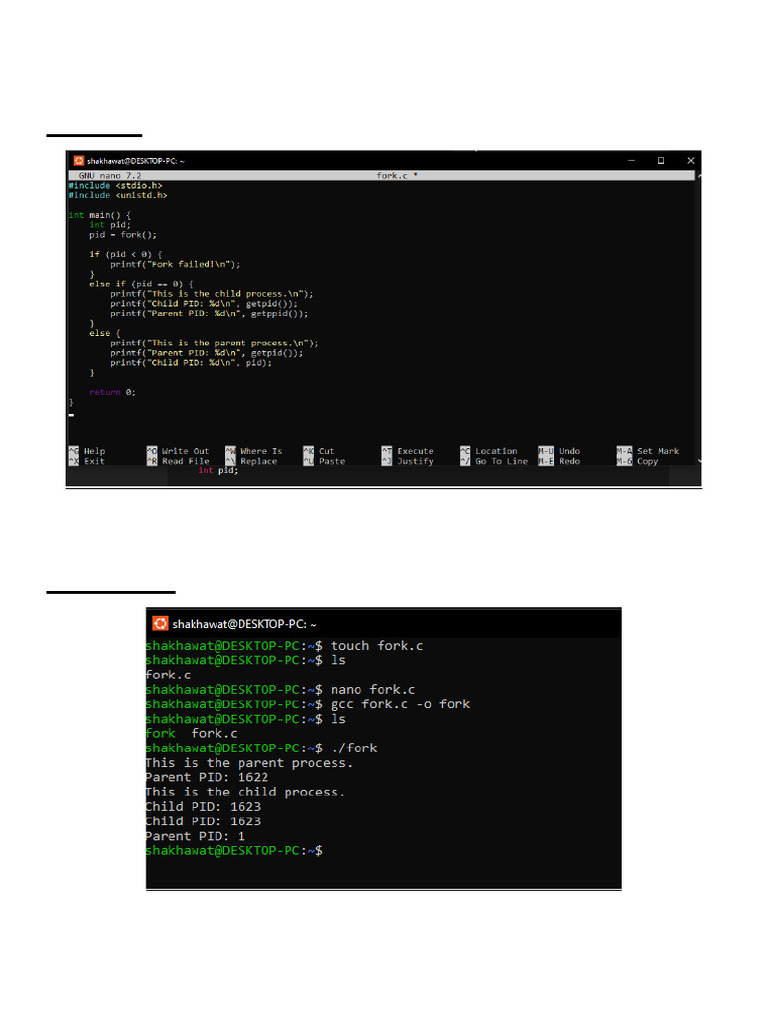 Fork | PDF