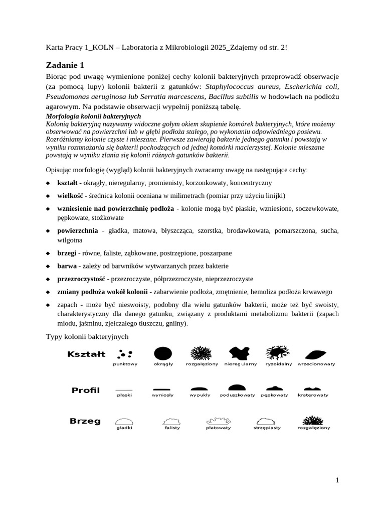 Karta Pracy 1 - KOLN - 2025 2 | PDF