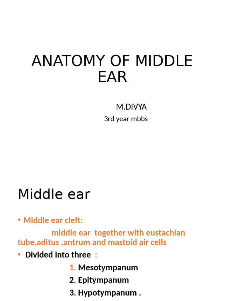 Middle Ear Anatomy Overview | PDF | Ear | Primate Anatomy