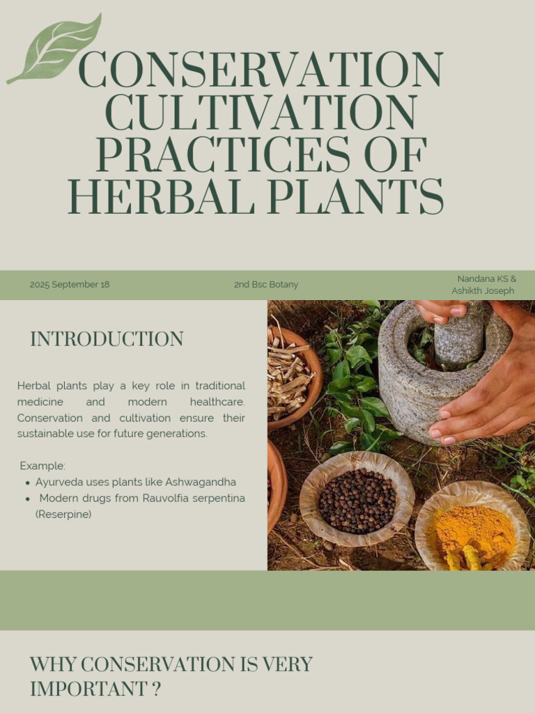 Conservation Cultivation Practices of Herbal Plants - 20250918 - 110804 ...
