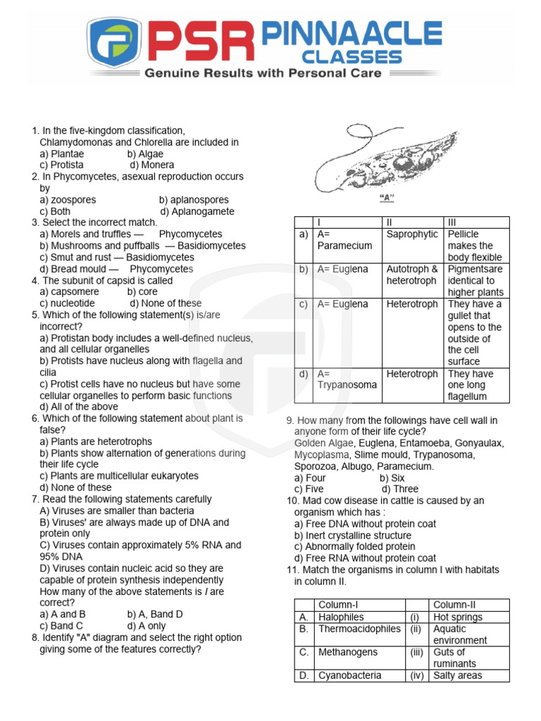 Biological Classification Quiz Questions | PDF | Fungus | Cell (Biology)