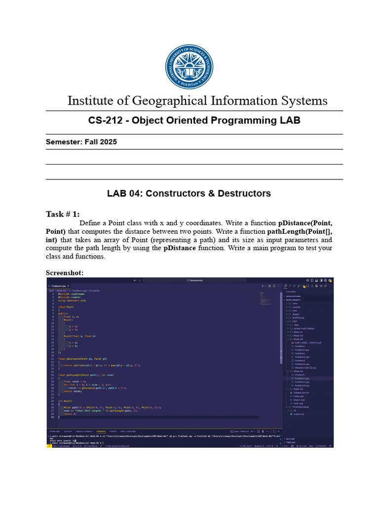 OOP LAB04 - Constructors & Destructors | PDF
