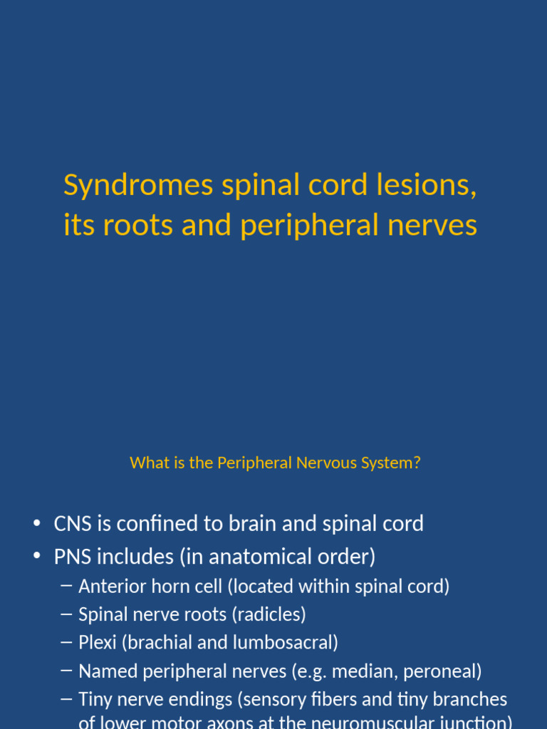 Syndromes Spinal Cord Lesions, Its Roots and Peripheral Nerves | PDF ...