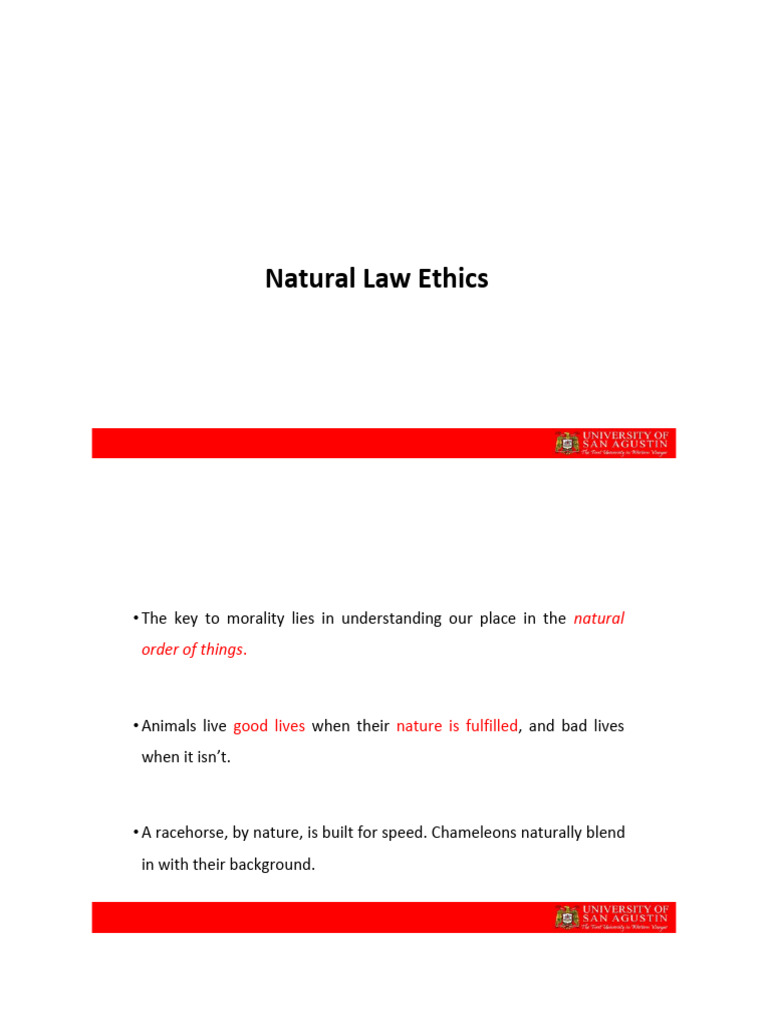 Understanding Natural Law Ethics | PDF | Natural Law | Thomas Aquinas