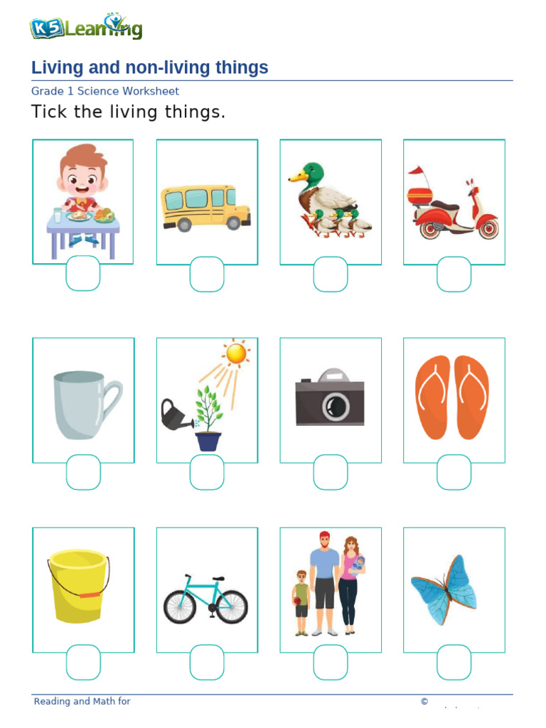 Grade 1 Living Things C | PDF