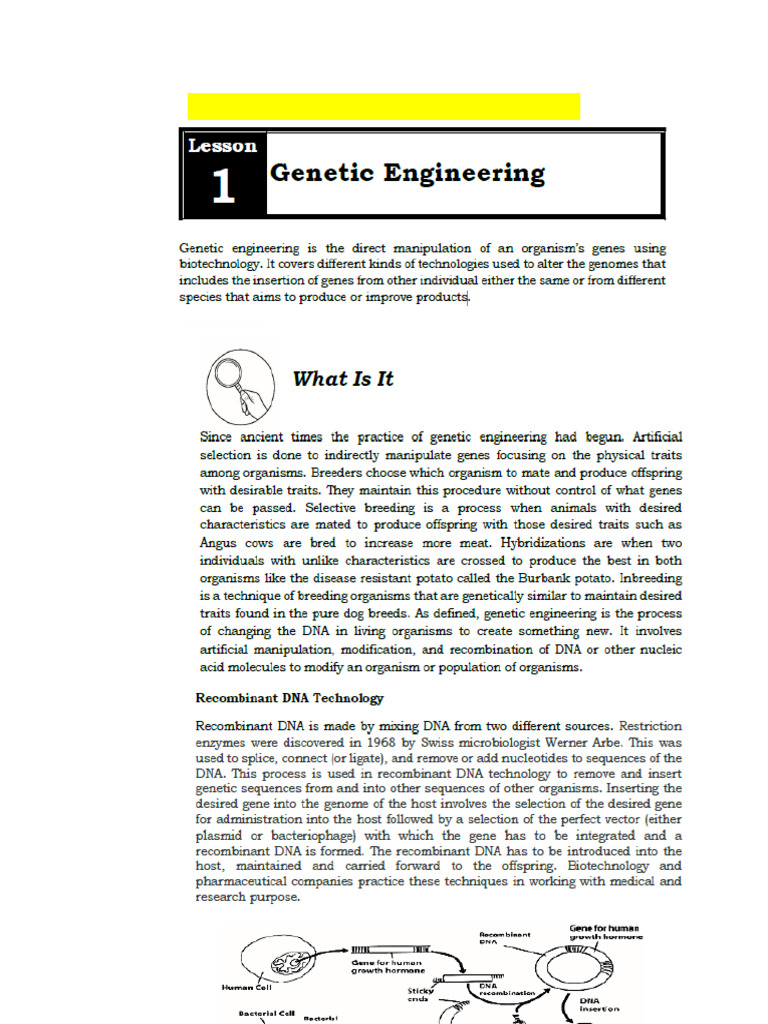 Lesson 3 Genetic Engineering | PDF