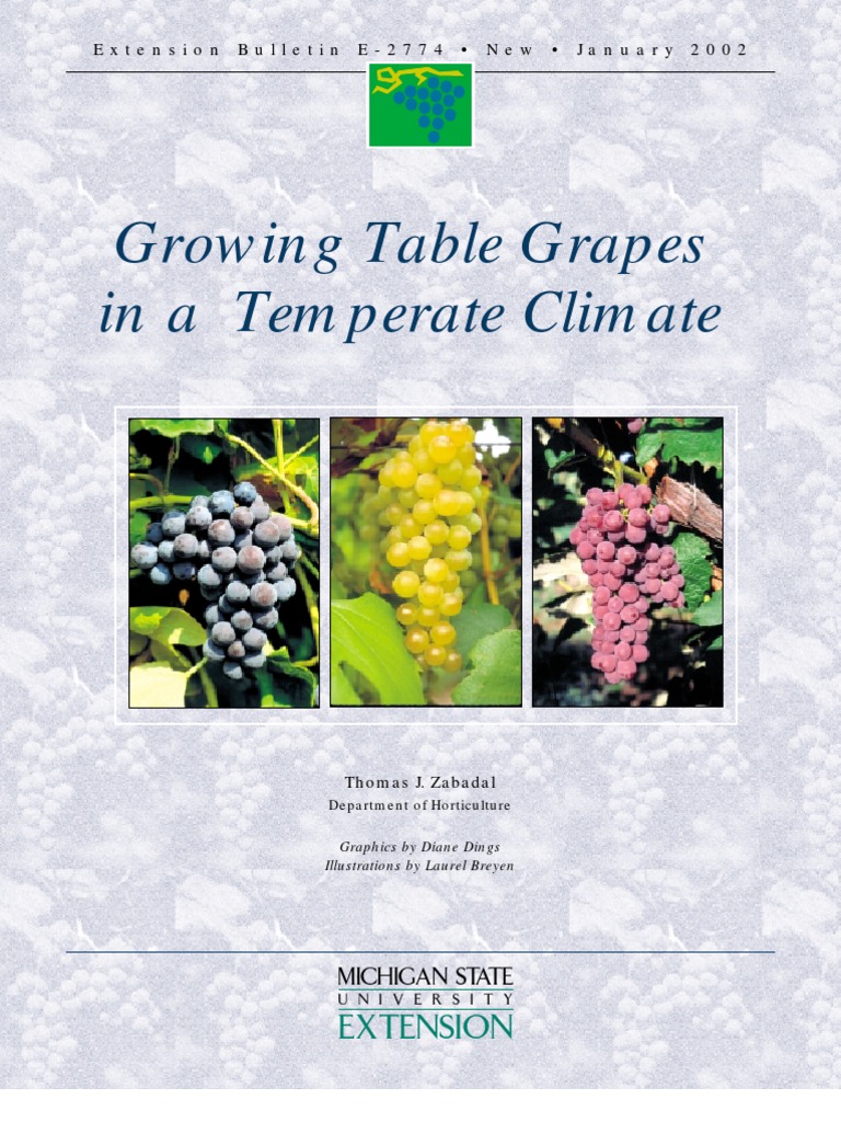 E 2774 | PDF | Vitis | Vineyard