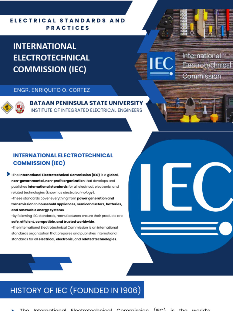 International Electrotechnical Commission | PDF | Programmable Logic ...