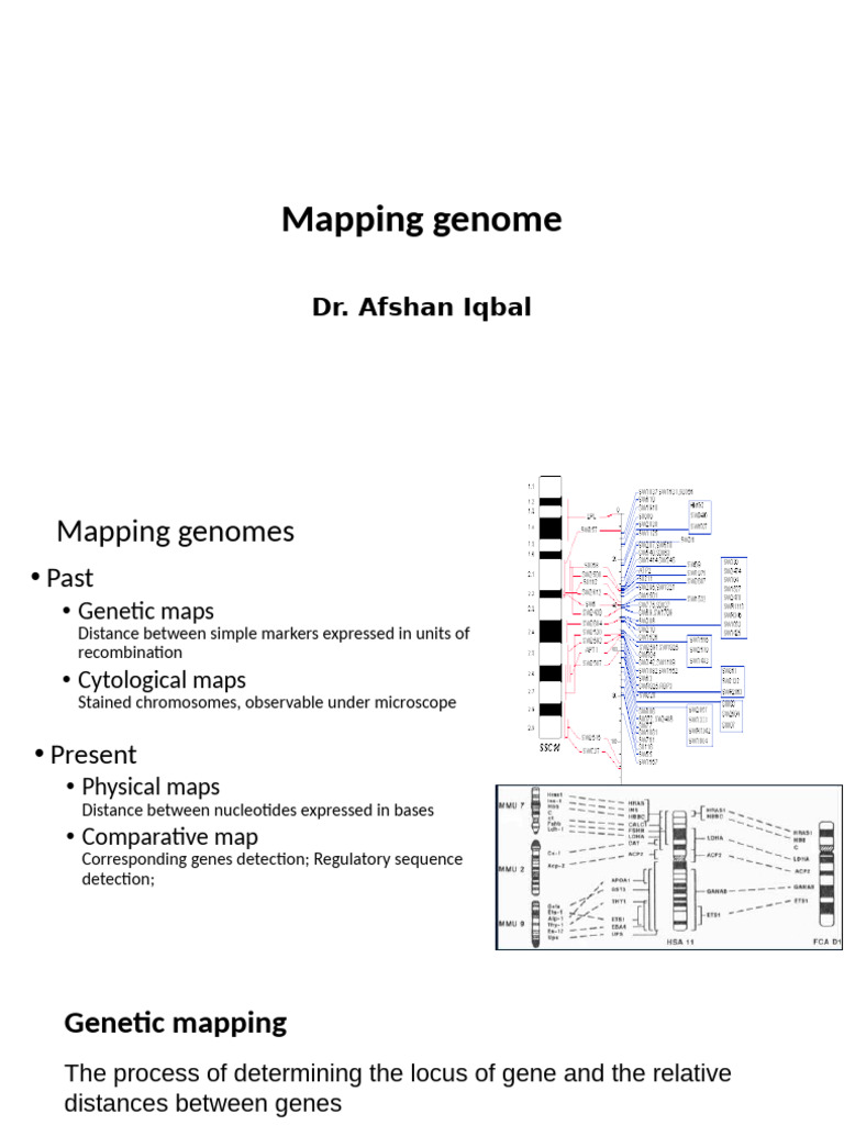 Genetic Mapping Lecture 3 | PDF | Genetic Linkage | Genetics
