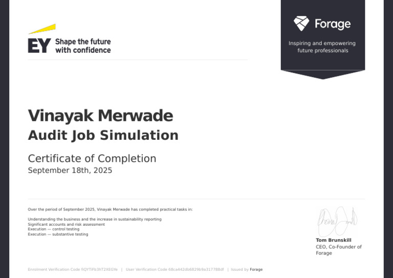 EY Audit Job Simulation | PDF