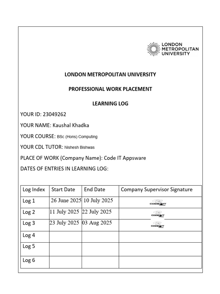 Professional Work Placement Learning Log | PDF | Version Control ...