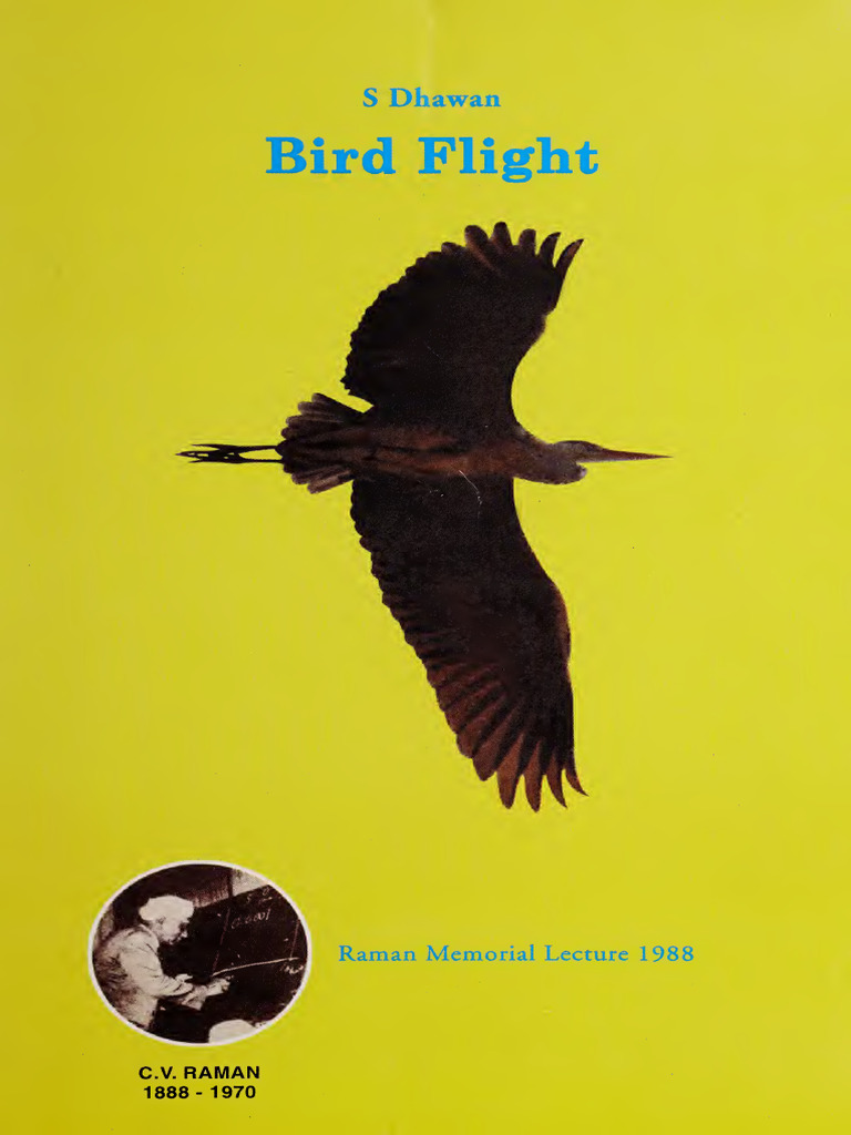 Ghughu Bird Flight Dynamics Explained | PDF | Flight | Zoology
