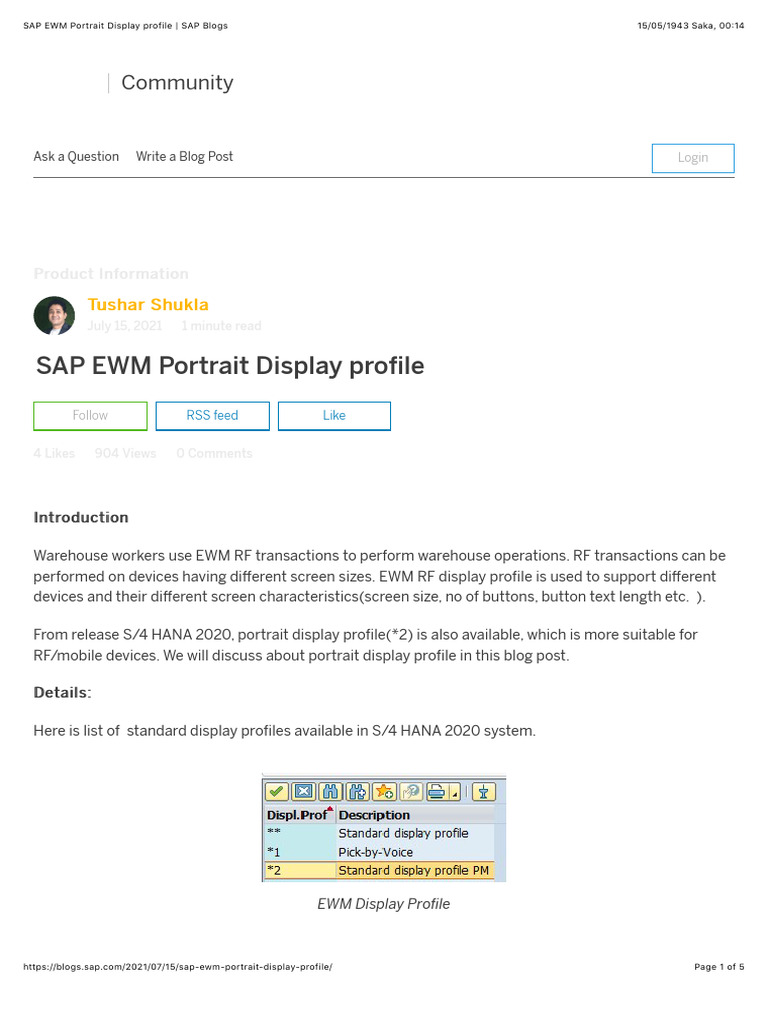 SAP EWM Portrait Display Profile Guide | PDF | Computing