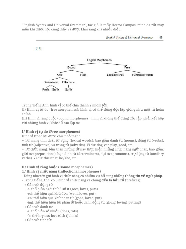 Summarize | PDF
