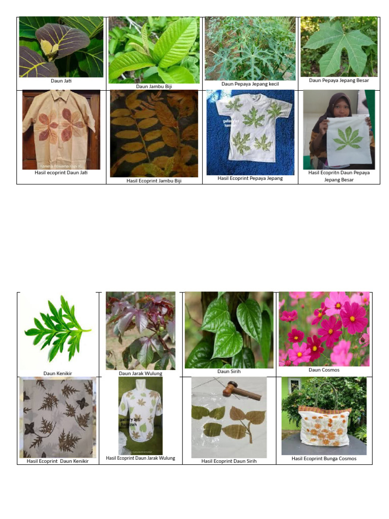 Ecoprint Daun dan Bunga Beragam | PDF