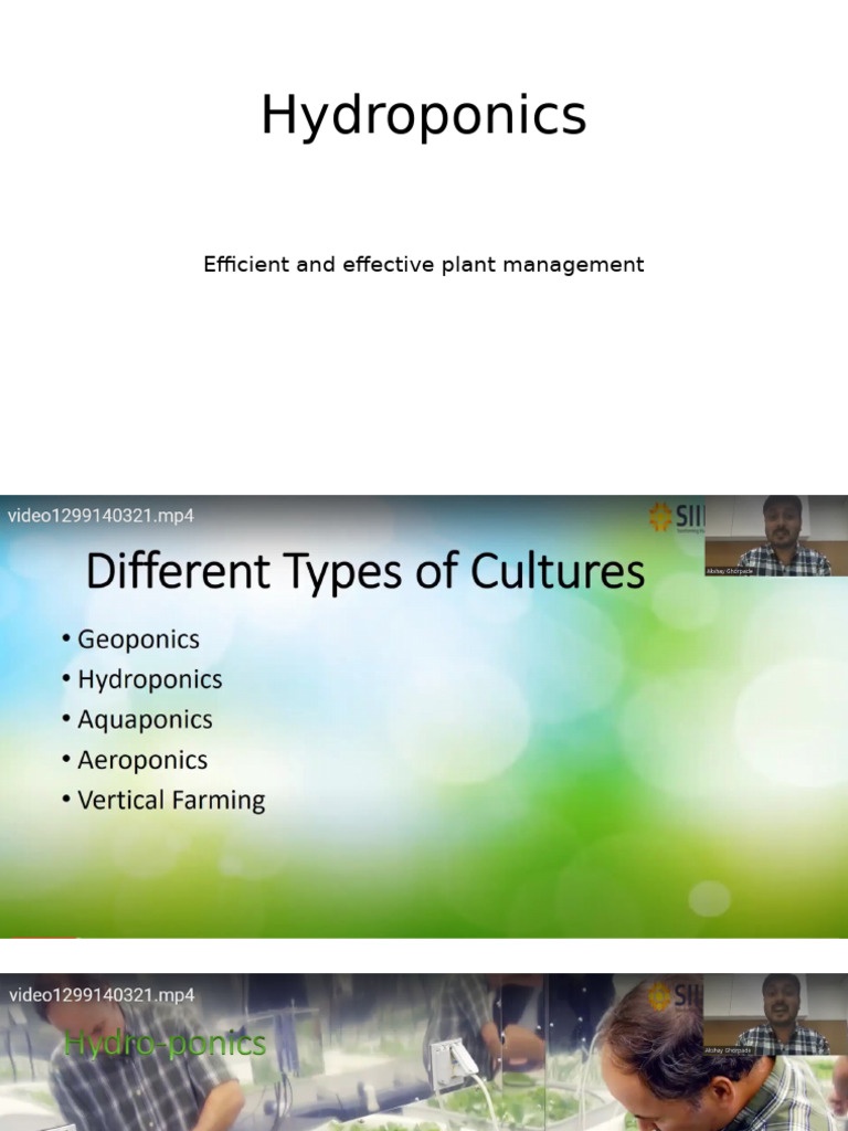 Hydroponics soil less farming | PDF