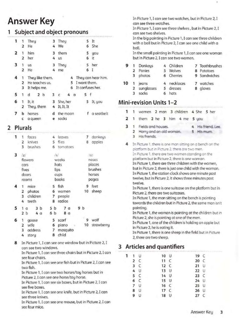 Oxford Grammar For Schools 3 Answer Key | PDF