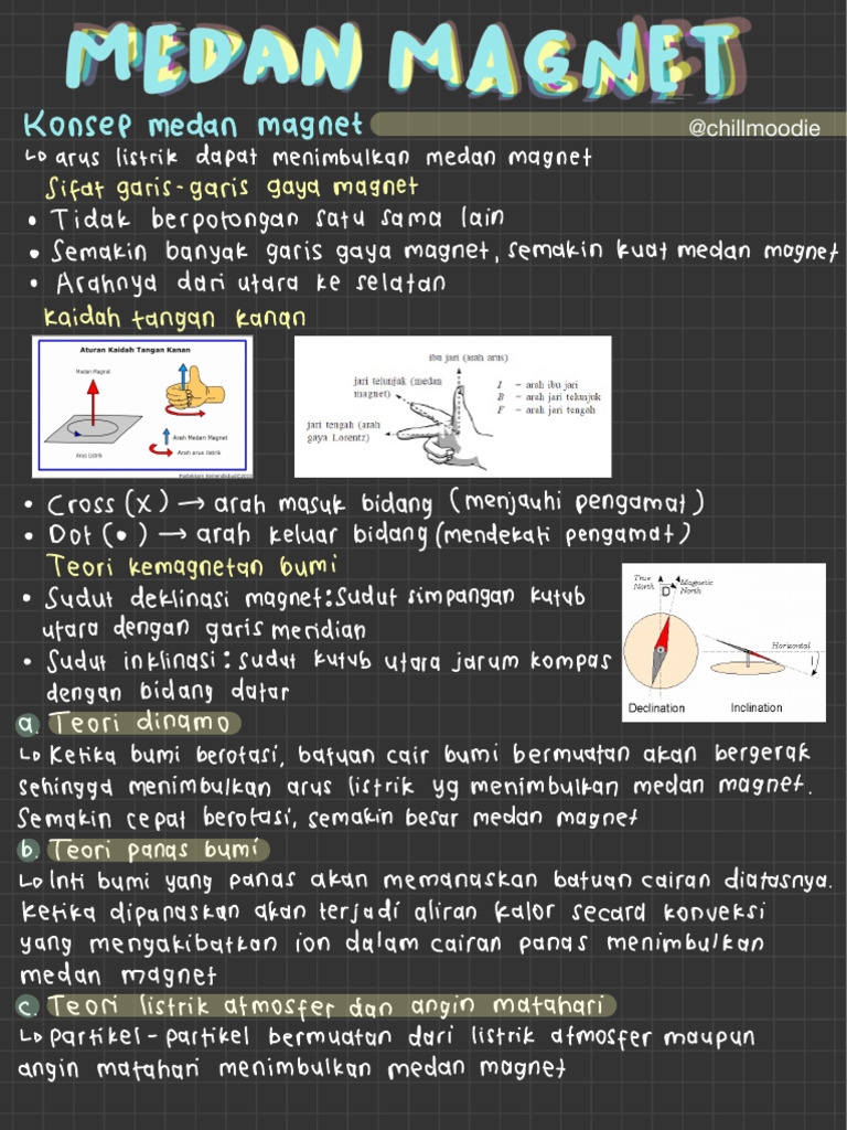 Medan Magnet | PDF