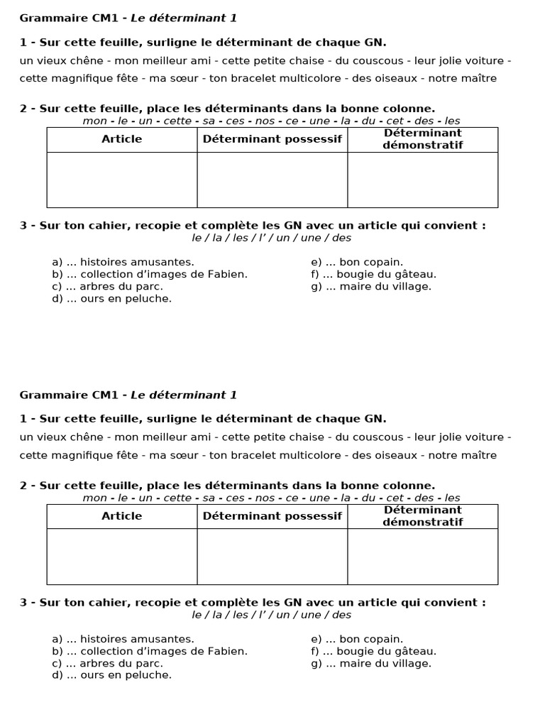 Exercices sur les déterminants CM1 | PDF | Linguistique