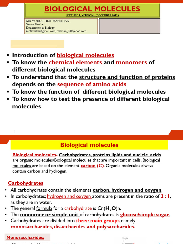Overview of Biological Molecules | PDF | Carbohydrates | Proteins