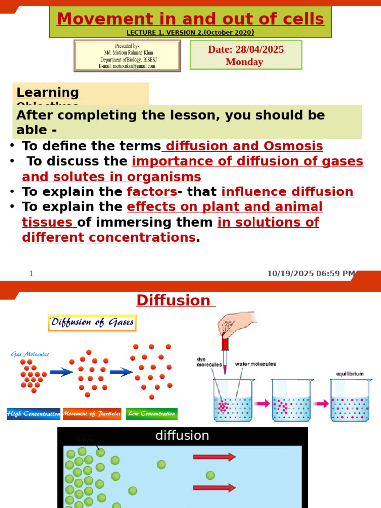 Cell Movement: Diffusion & Osmosis Explained | PDF | Osmosis | Diffusion