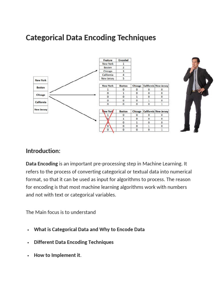 Categorical Data Encoding Techniques | PDF | Categorical Variable | Applied Mathematics