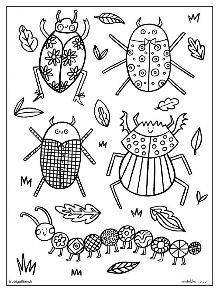 Bugs | PDF