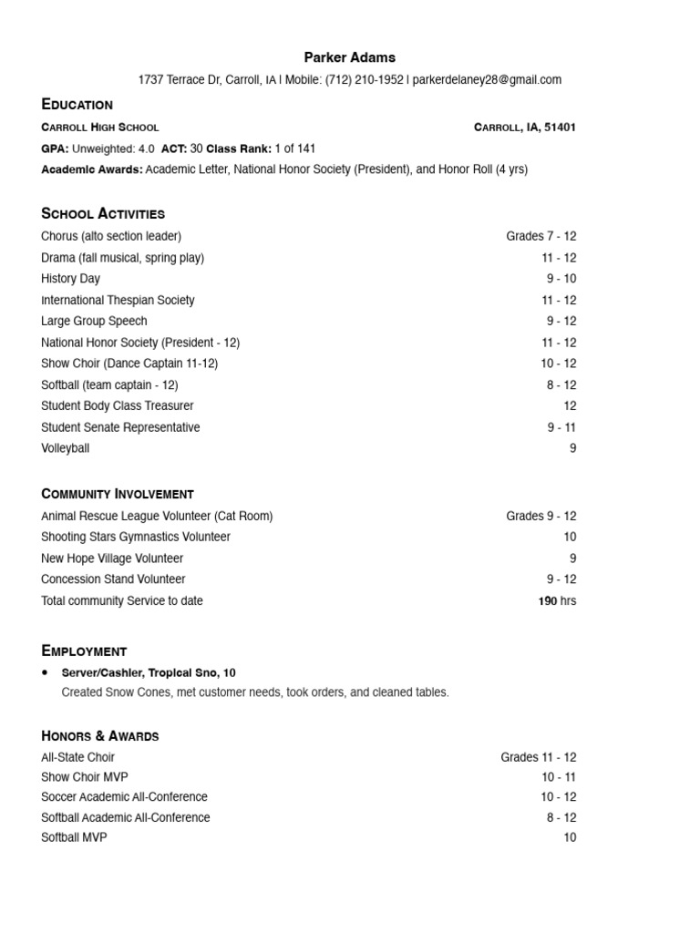ICAN Activity Resume Template FCA1379E3196A | PDF