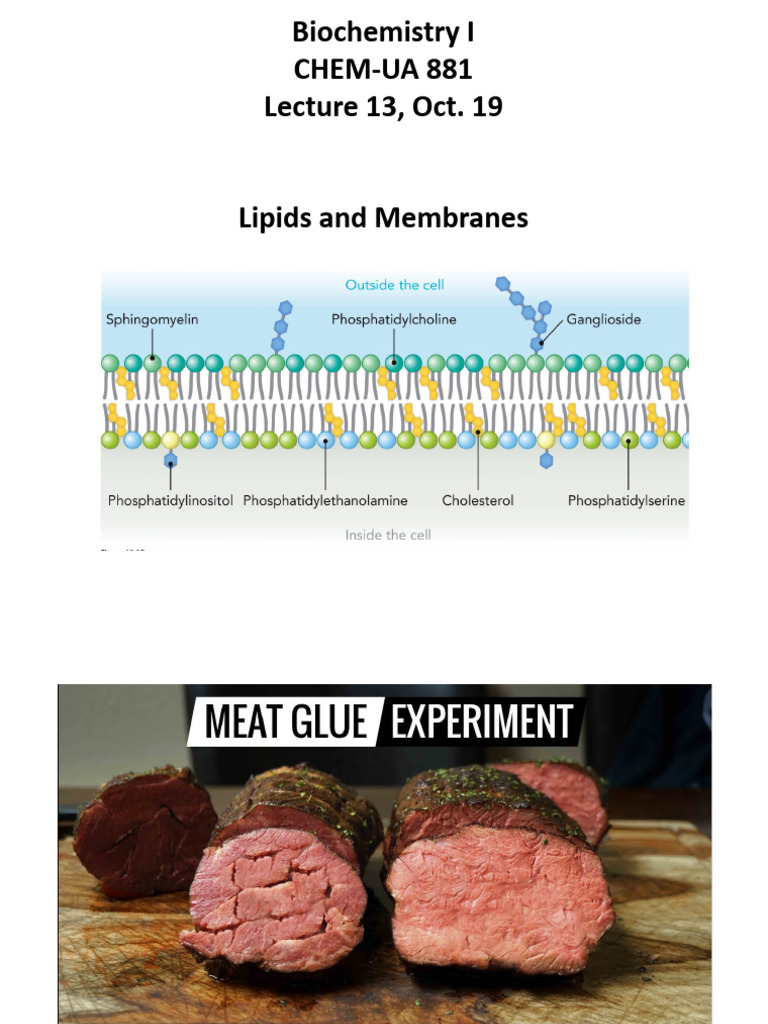 Lipids and Membranes in Biochemistry | PDF | Cell Membrane | Lipid Bilayer