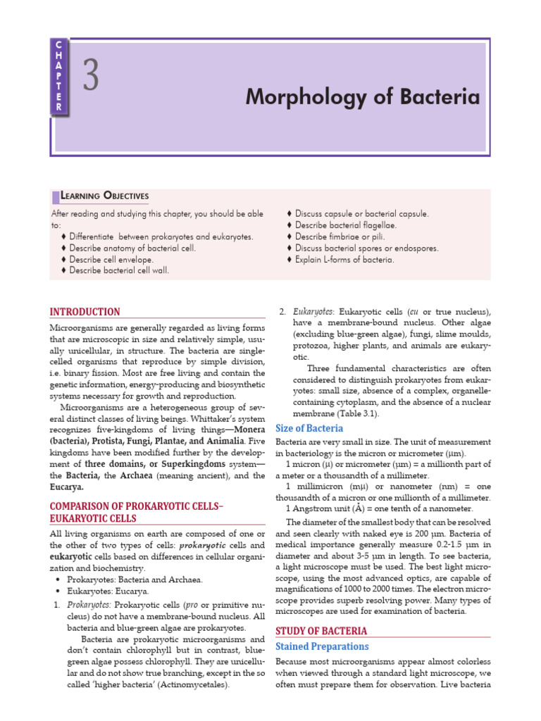 Morphology Of Bacteria Pdf Bacteria Cell Biology