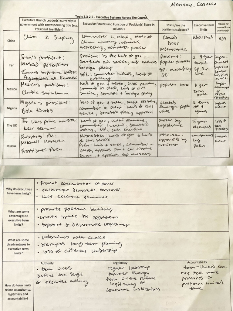 Executive Systems Chart (Mariame Cissokho) | PDF